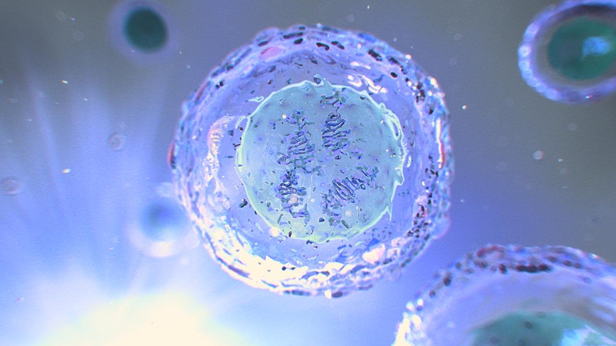 cell culture equipment
